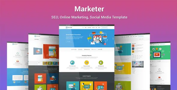 Marketer - SEO, Marketing Online, Social Media WordPress Theme - Pluginthemebr - Wordpress ...