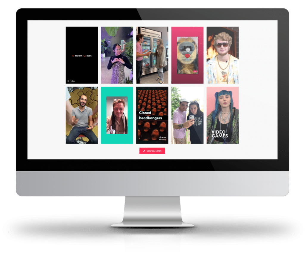 QuadLayers | TikTok Feed PRO - Pluginthemebr - Wordpress plugins e temas