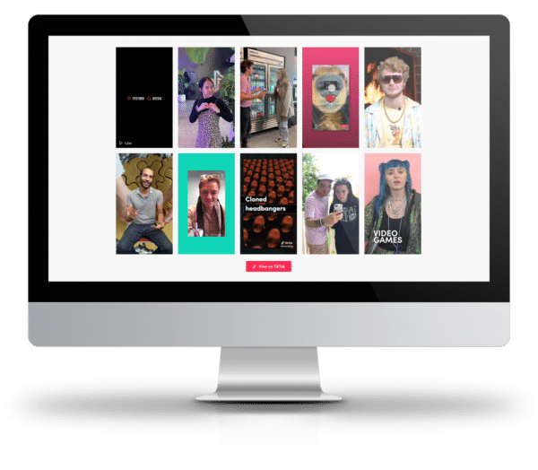 QuadLayers | TikTok Feed PRO - Pluginthemebr - Wordpress plugins e temas