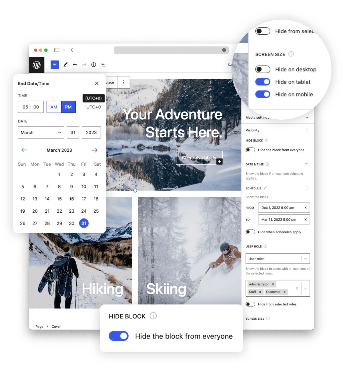 Block Visibility Pro – Conteúdo Condicional e Personalizado para WordPress - Pluginthemebr ...